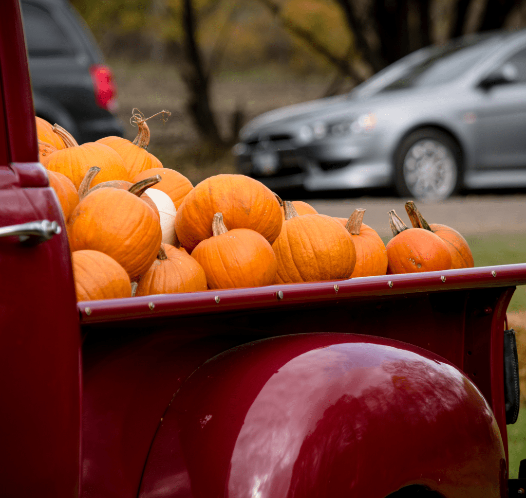 The impact of Halloween on the U.S. Economy - SaintGeorge
