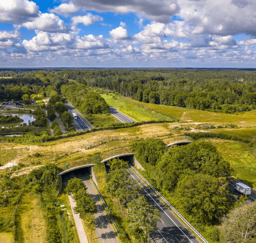 First wildlife overpass on Interstate 5 - SaintGeorge